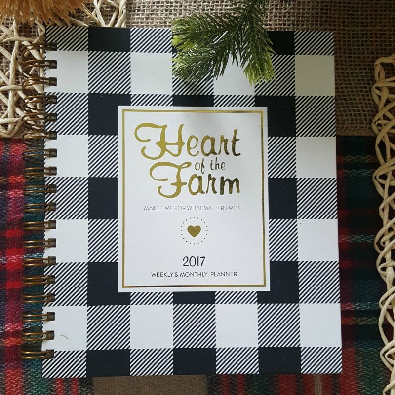 How to Realistically Organize Your Life - The Design Twins - Beplay体育网页登录,beplay app官网